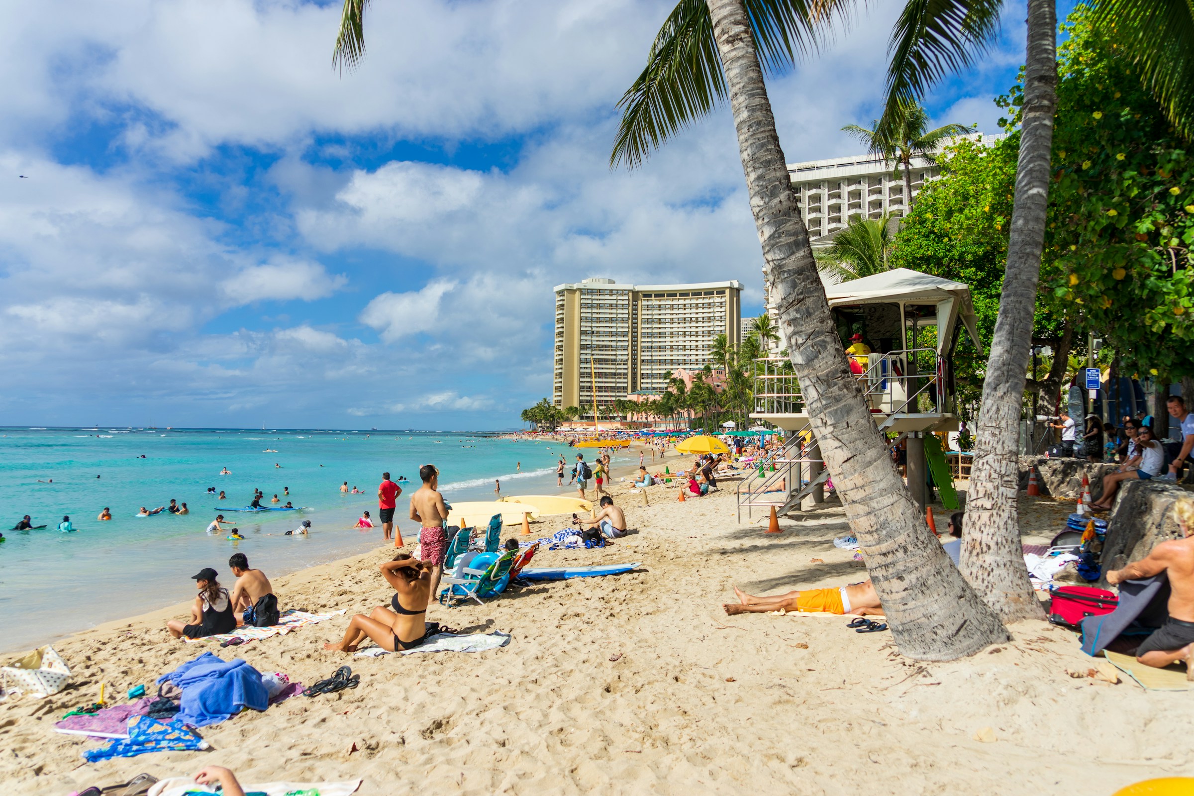 Things to Do in Waikiki Honolulu | The Laylow Waikiki, Autograph Collection